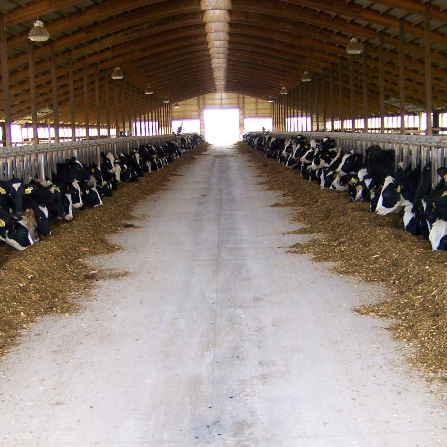 Livestock Farms | Agricultural Steel Buildings - K-HOME