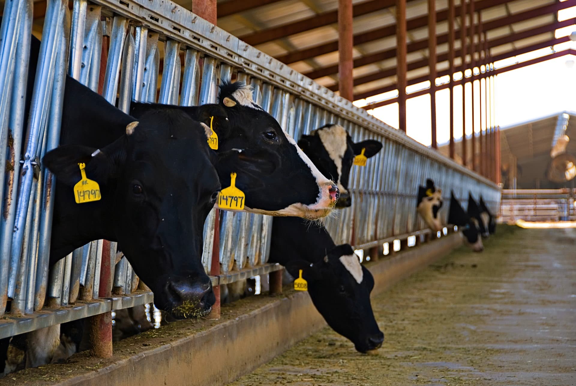 China Prefab Stol Schapp Gebaier Fabrikant beschwéiert | K-HOME